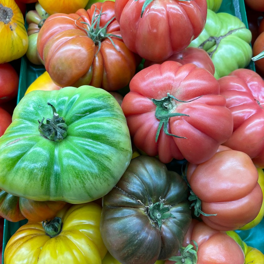 Wishing All the Best Kamatis – Slicing Tomatoes